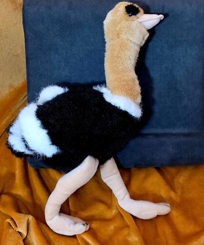 Realistic Ostrich Plush Stuffed Animal 15” Tall Soft Toy Cute Bird ...