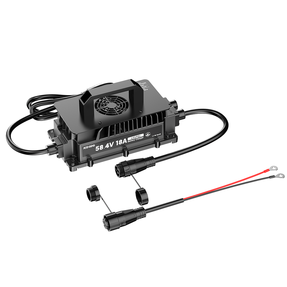 Redodo 48V 100Ah Bluetooth Golf Cart LiFePO4 Battery, Charger, Monitor ...