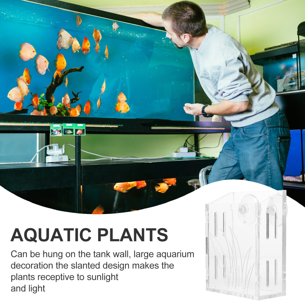 3 PCS Acrylic Fish Tank Planting Cup Baby Waterweed Cups Aquarium Live ...