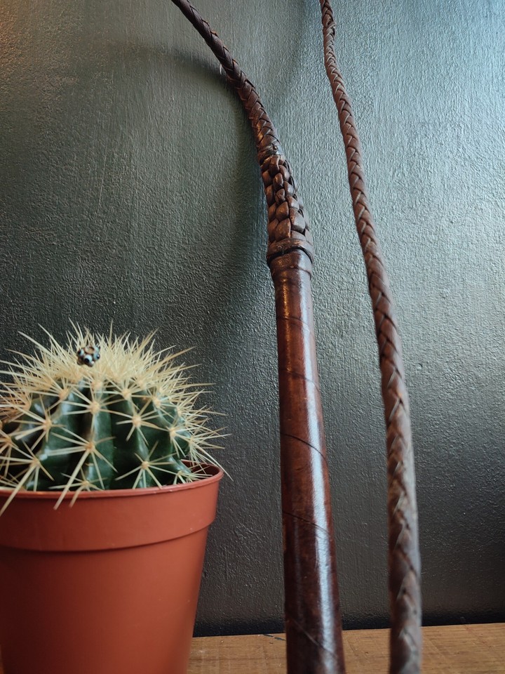 Whip, Horse whip, Whip for Shepherd, Natural leather , American whip ...