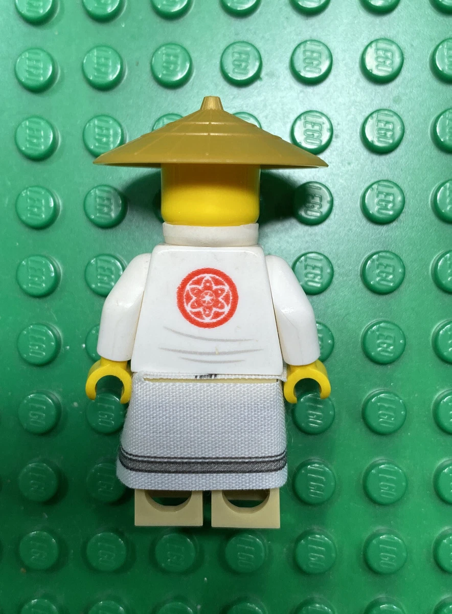 Ninjago Sensei Wu Costume