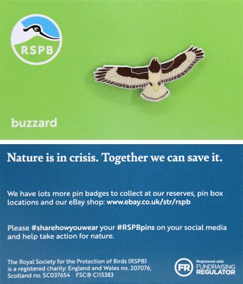 RSPB Pin Badge Buzzard NIIC P03052 | eBay
