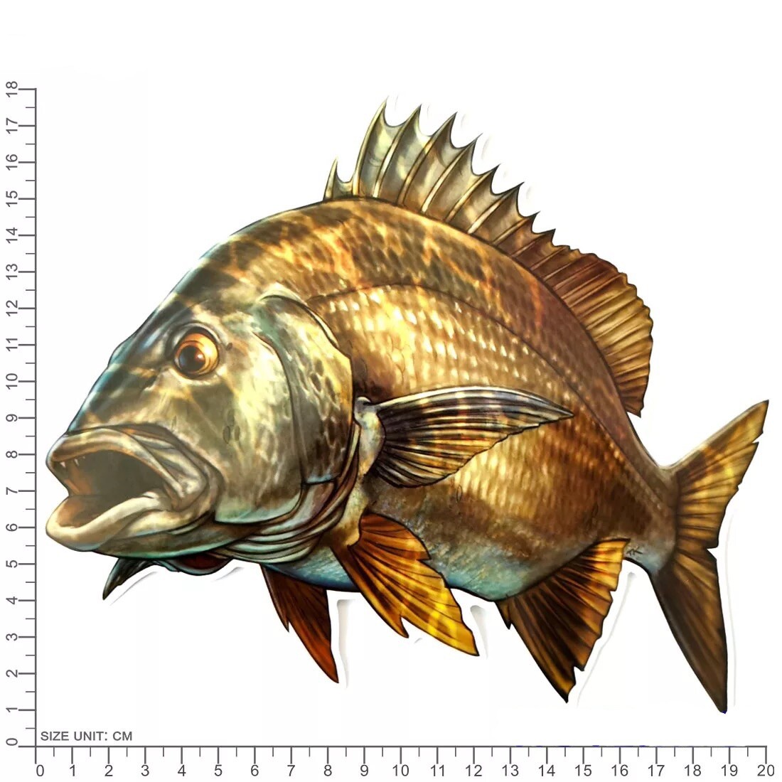 Bream Decal 20cm x 16cm Esky Boat Car Fish Sticker Fishing Gift | eBay