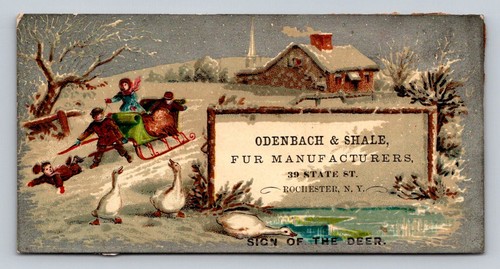 Odenbach Shale Fur Manufacturer People Pull Sleigh Geese Rochester New ...