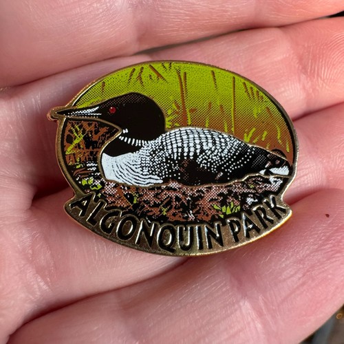 Vintage Algonquin Provincial Park Souvenir Lapel Pin Loon | eBay