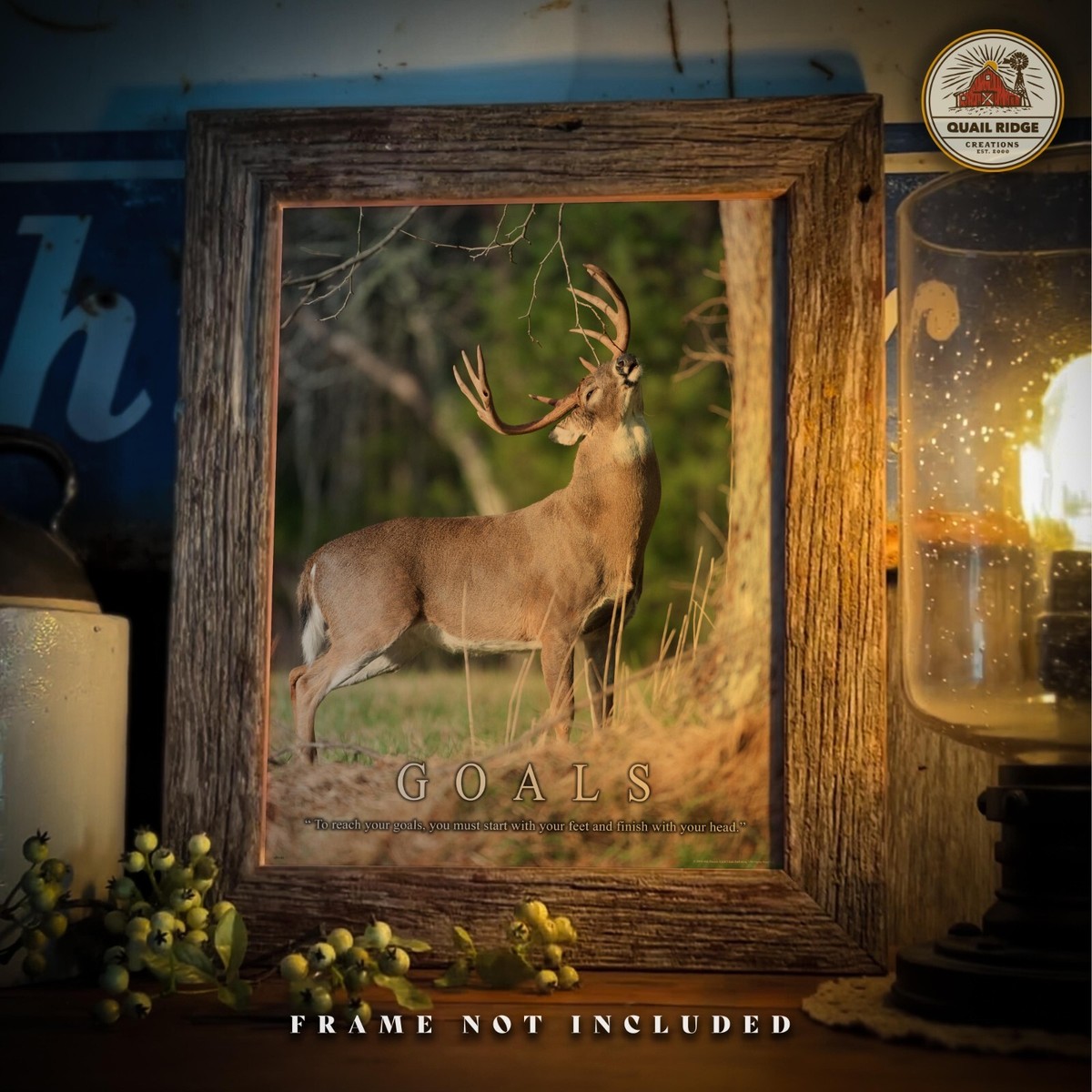 Realtree Whitetail Deer Wallpaper