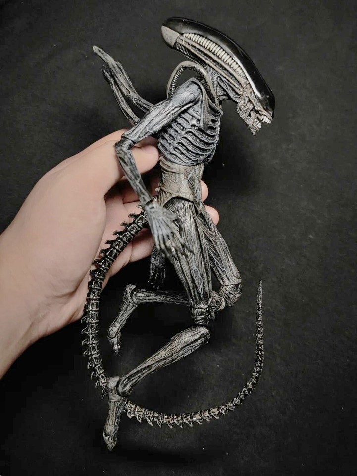 NEW NECA Alien：Covenant Movie figure Xenomorph Warrior 7" Action Figure ...