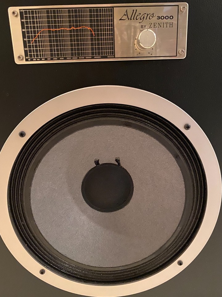 Vintage Pair Zenith Allegro 3000 Floor Speakers 10" Woofers - LOCAL ...
