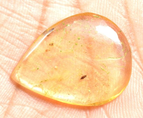 5.10 Ct Tanzanian Natural Yellow Amber Fly Insect Inclusion CERTIFIED ...