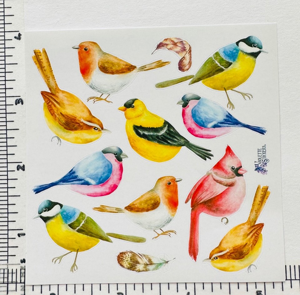 Violette Stickers Watercolor Birds Crafts Planner Supply Scrapbook ...