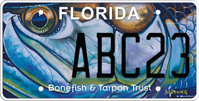 Custom Florida License Plate Bonefish & Tarpon Trust P194 | Trailer ...