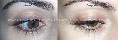 Prosa Oil for Eyelashes Growth Makes Eyelashes Look Larger 0.5 Oz ...