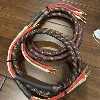 Yinyewang Feverish Landline Audio Cable - 8 Feet - Stereo to Bi-Amp ...
