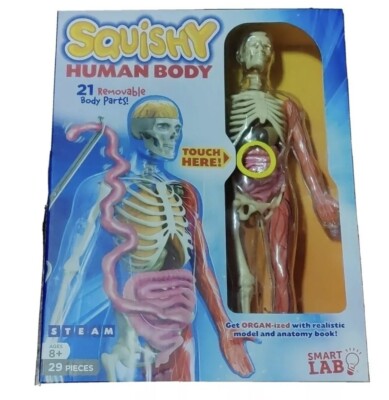 SmartLab Squishy Human Body 21 Removable Body Parts SEALED 834509000540 ...