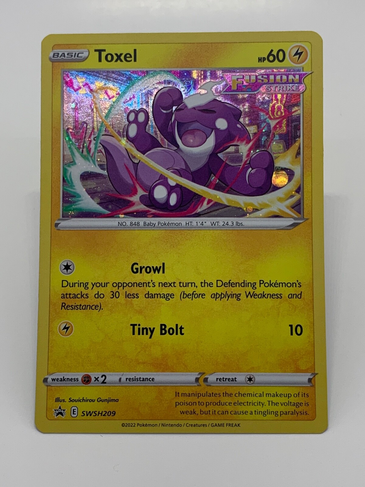 Toxel - Pokémon - Holo - Black Star - Promo - SWSH209 - Astral Radiance ...