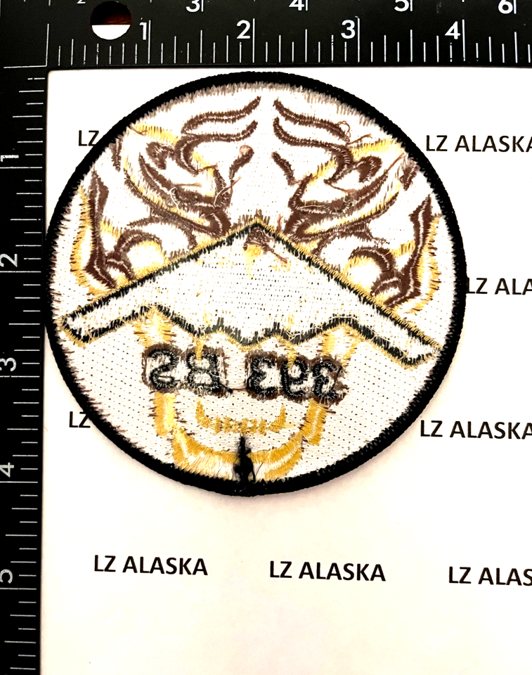 US AIR FORCE 393rd BOMB SQUADRON B-2 STEALTH DESERT PATCH (AFD ...