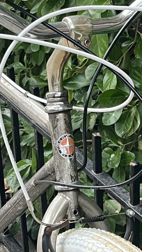 Vintage Schwinn Sierra 4130 Chrome-Moly Mountain Bike Large Frame | eBay