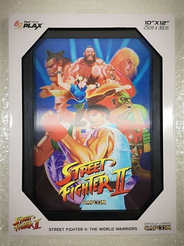 PIXEL FRAMES STREET FIGHTER II (2) THE WORLD WARRIORS (25CM X 30CM ...