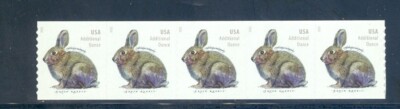 US 5545 Brush Rabbit, Coil Strip/5, Mint NH | eBay