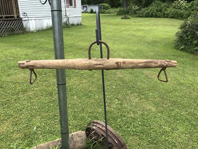 Primitives - Primitive Ox