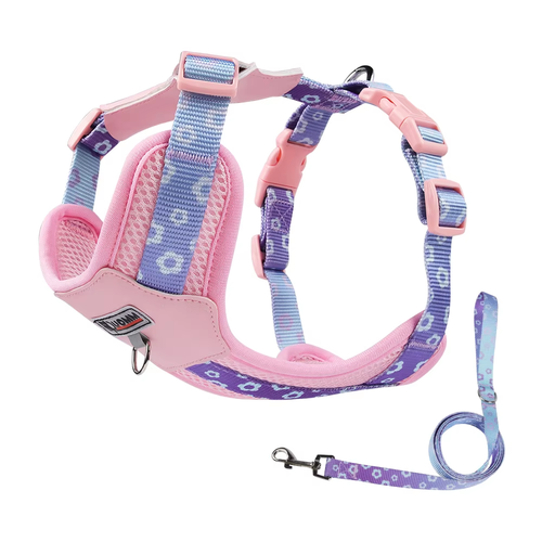 Colorful Gradient Dog Harness Breathable Adjustable for Small Dogs ...