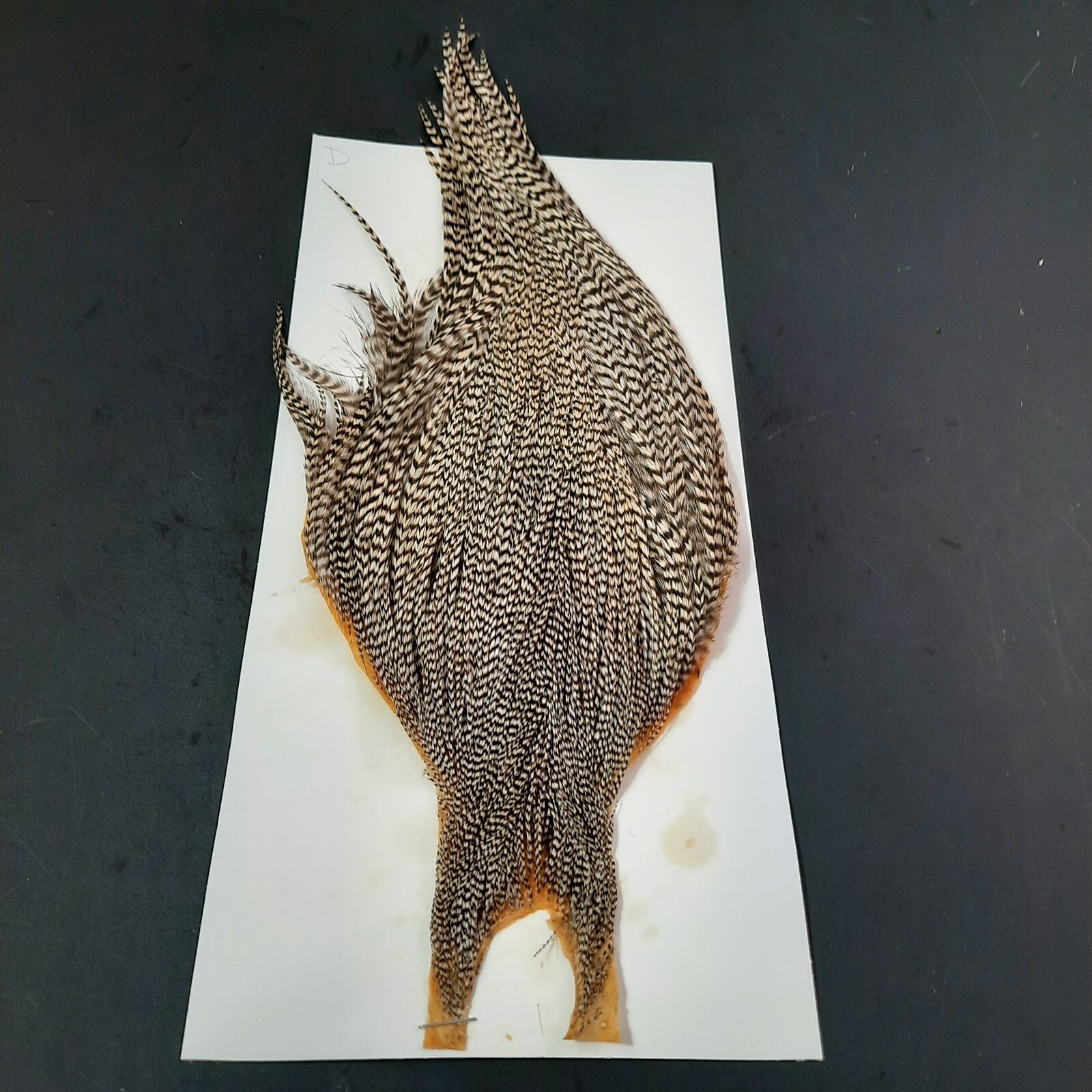 Dry Fly Hackle Cape Neck Grizzly, Cream, Olive, Blue Dun, Olive Dun ...