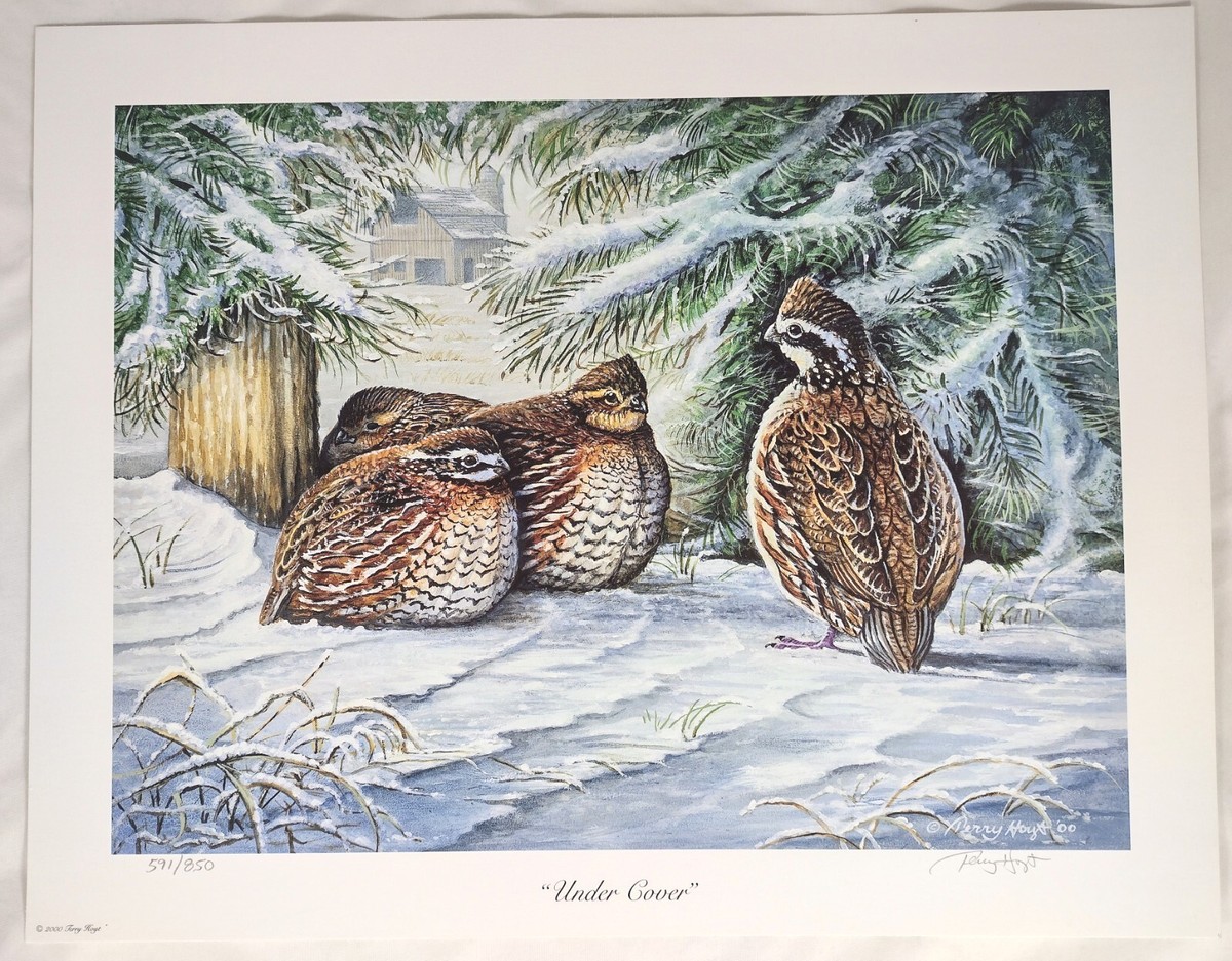 Quail Painting Common Quail M. Sosa Painting