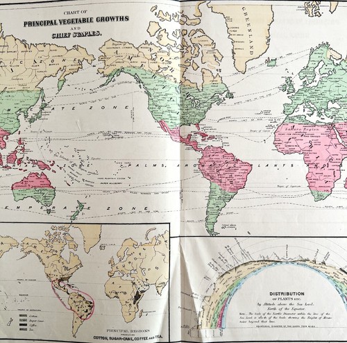 Map Of The World 1884 Vegetable Plant Growth Coffee Victorian ...