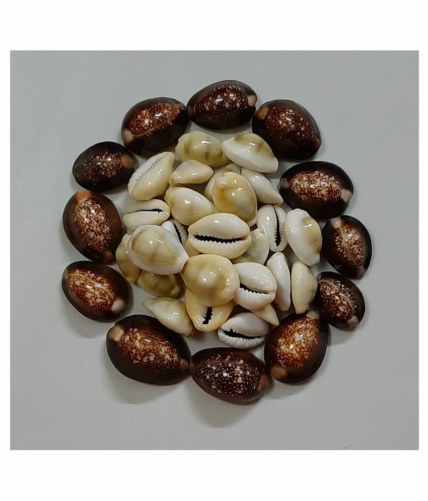 Yellow & Black Kaudi SET of 11 Black and 11 Yellow kaudi Hindu Pooja ...