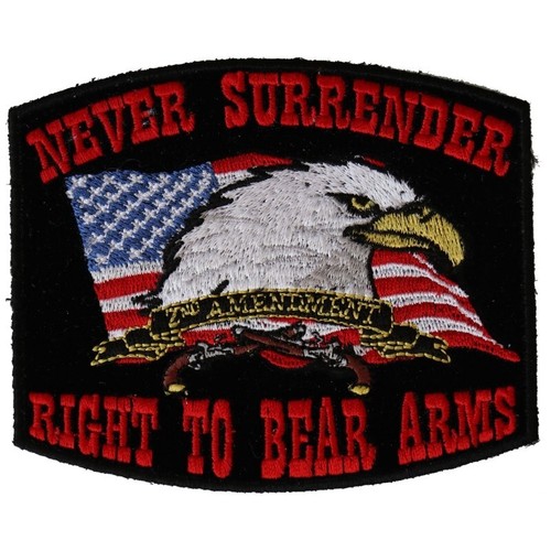 Never Surrender Right To Bear Arms New Embroidered Sew on Patch Eagle ...