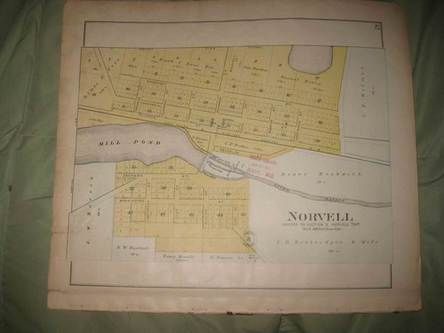 SUPERB RARE ANTIQUE 1894 SPRINGPORT TOWNSHIP NORVELL JACKSON COUNTY ...