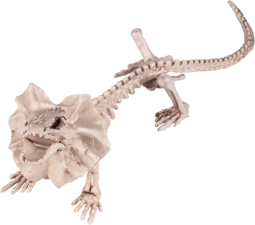 17" Frilled Lizard Skeleton Halloween Decoration- Weather Resistant for ...