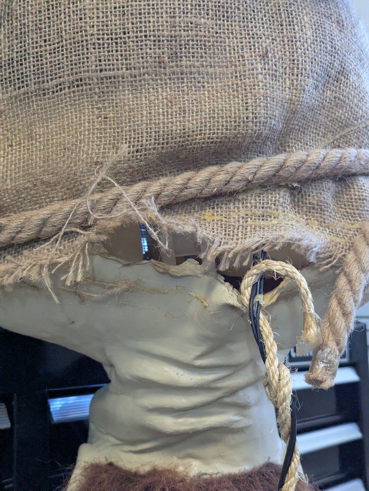 2011 Spirit Halloween Zombie Bait Animatronic Animated Prop with Box ...