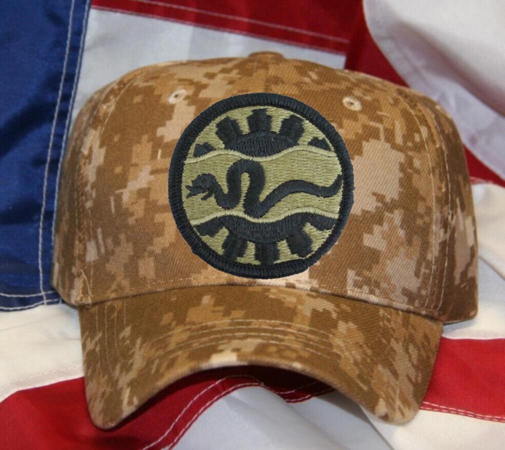 116TH CAVALRY OCP HAT PATCH CAP US ARMY OF ONE VETERAN WOW | eBay