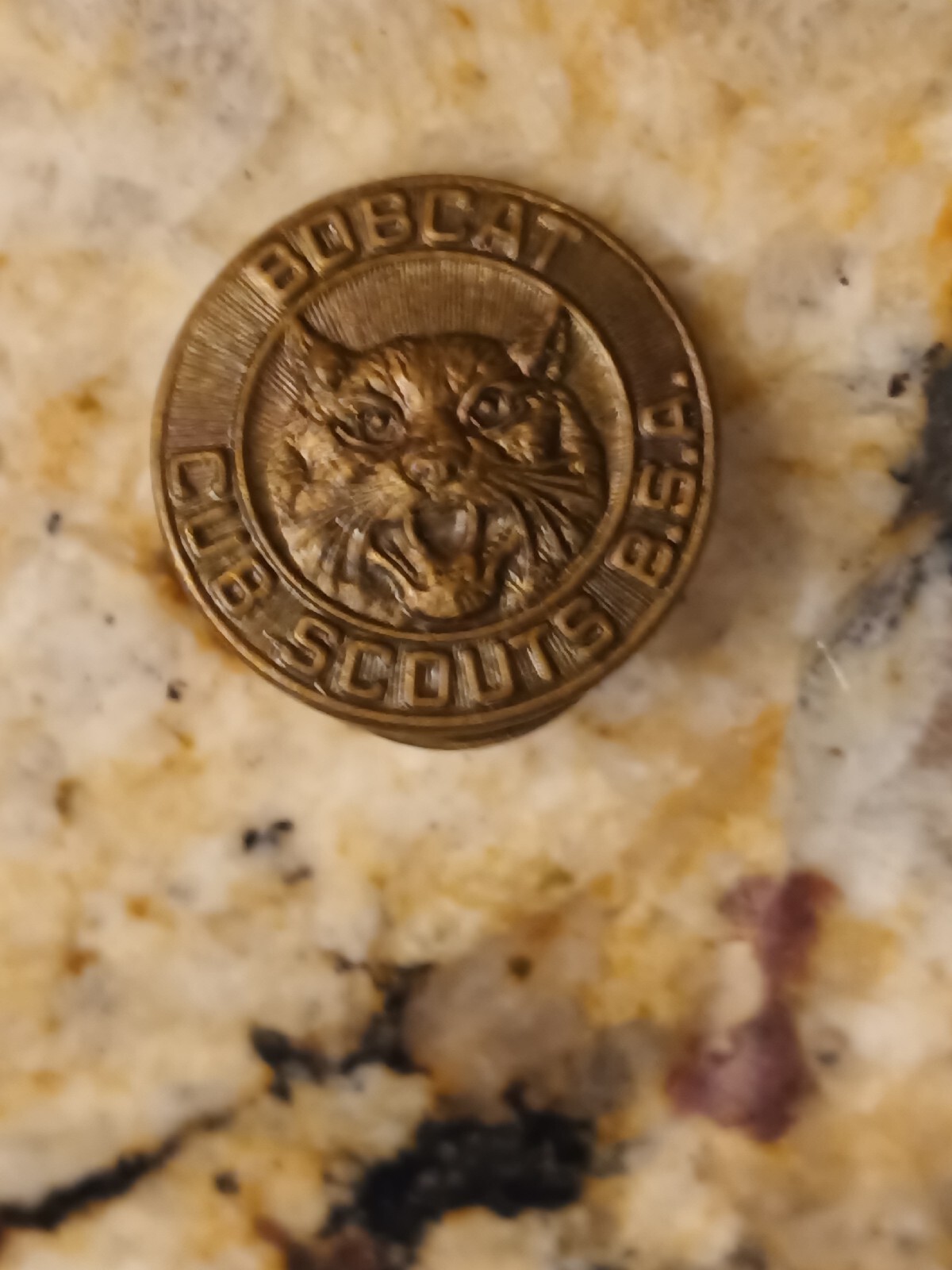 Bobcat Pin Cub Scout BSA Brass Rare Vtg 1960 / 70's App. 5/8" VG | eBay