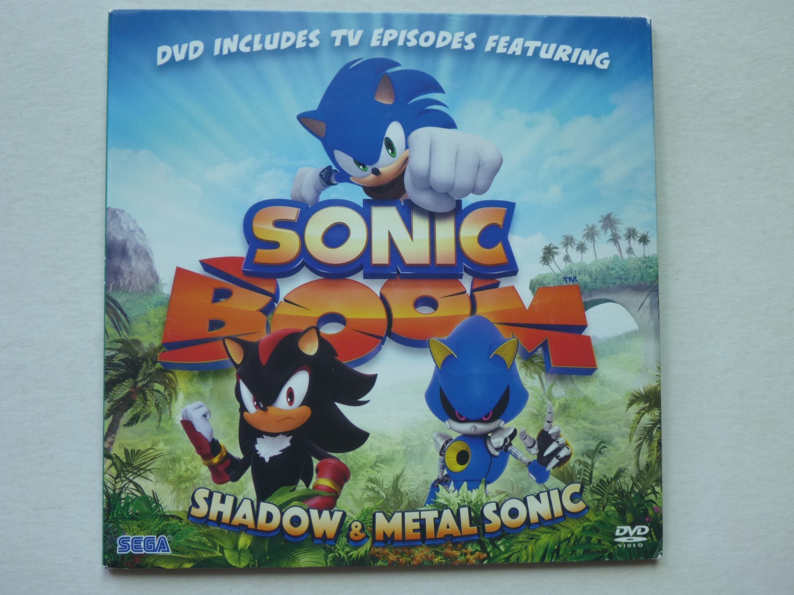 Sonic Boom Sonic The Hedgehog Shadow