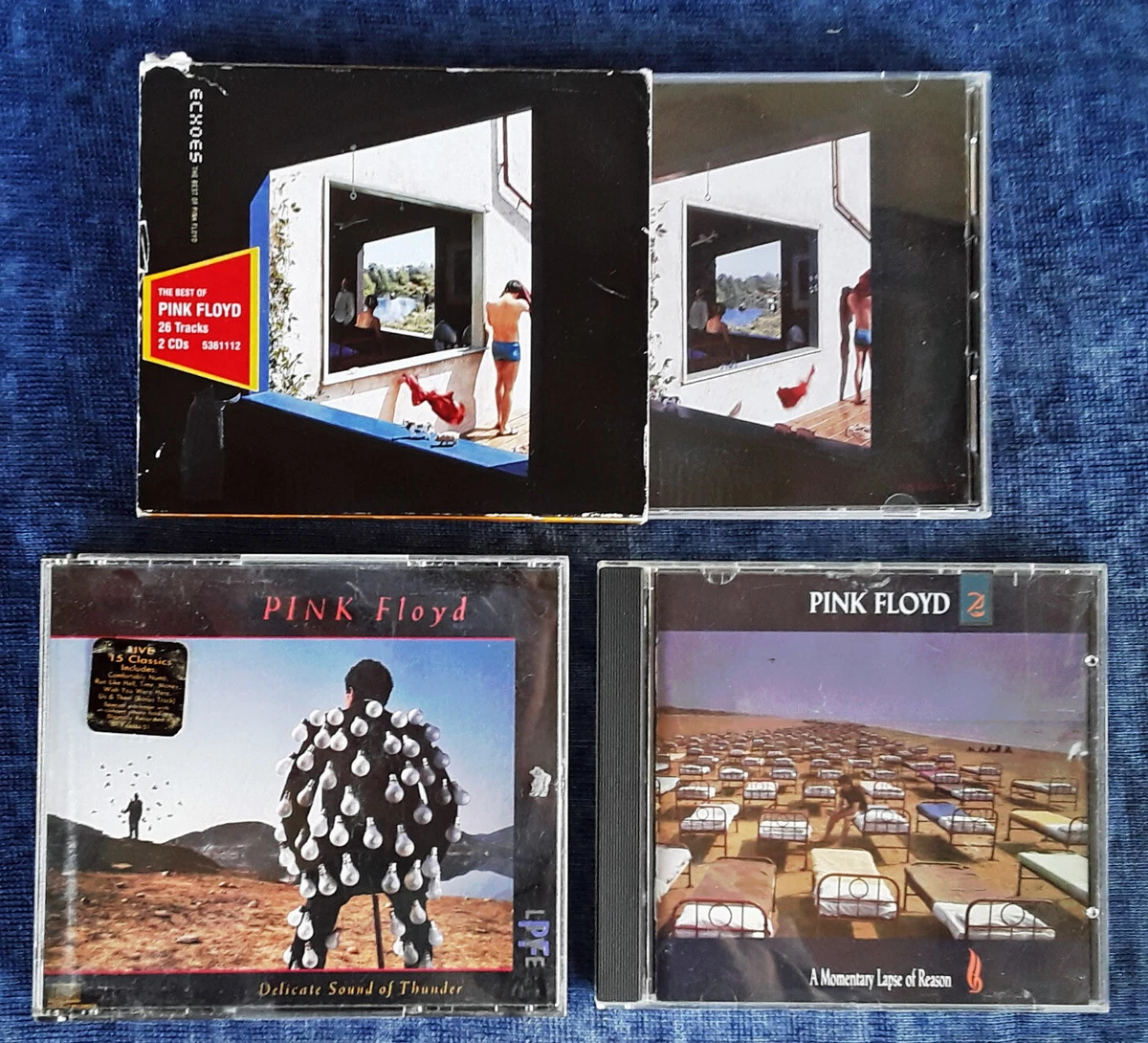 Pink Floyd Echoes Album Art