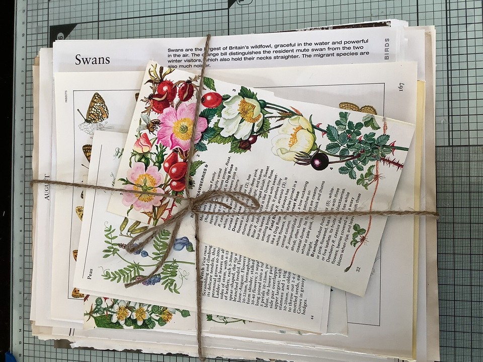 Bundle 40 Nature book pages Scrapbooking Mixed media Junk journal craft ...