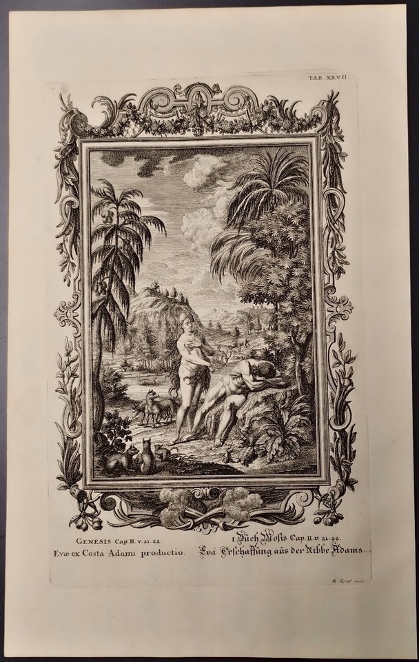 1731 Folio Genesis Schöpfung Mensch Adam und Eva Scheuchzer Physica ...