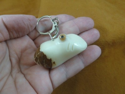 TNE-FROG-715A) FROG amphibian KEYCHAIN key TAGUA NUT Figurine love ...
