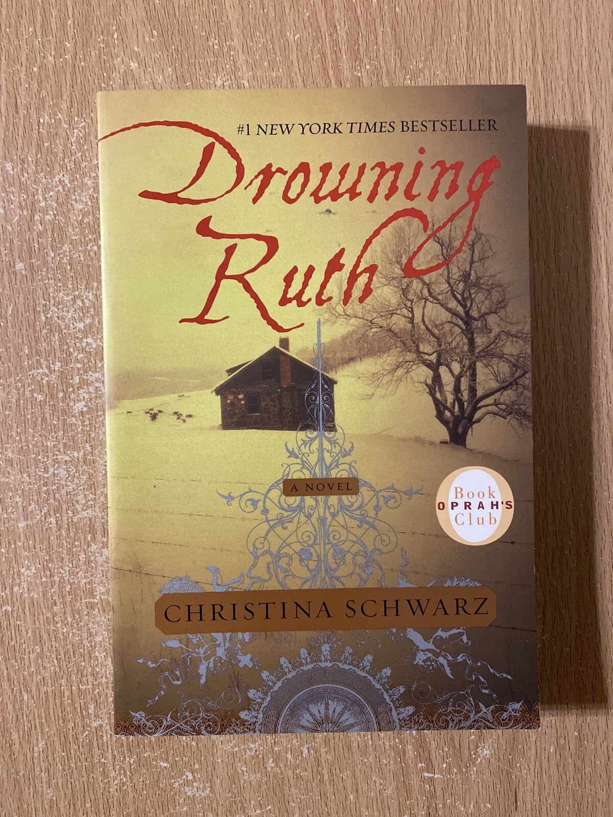Drowning Ruth by Christina Schwarz (2001 Paperback) 9780345439109 | eBay