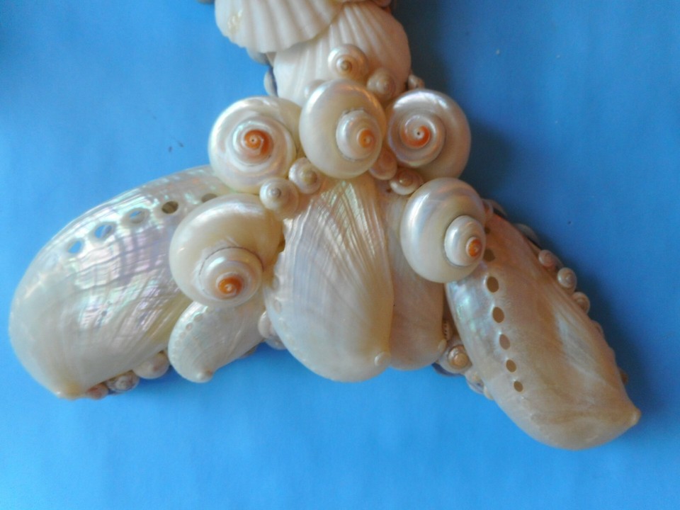 Stunning Sea Shell Dolphin Wall Sculpture-Wall Dolphin- Artist Created ...