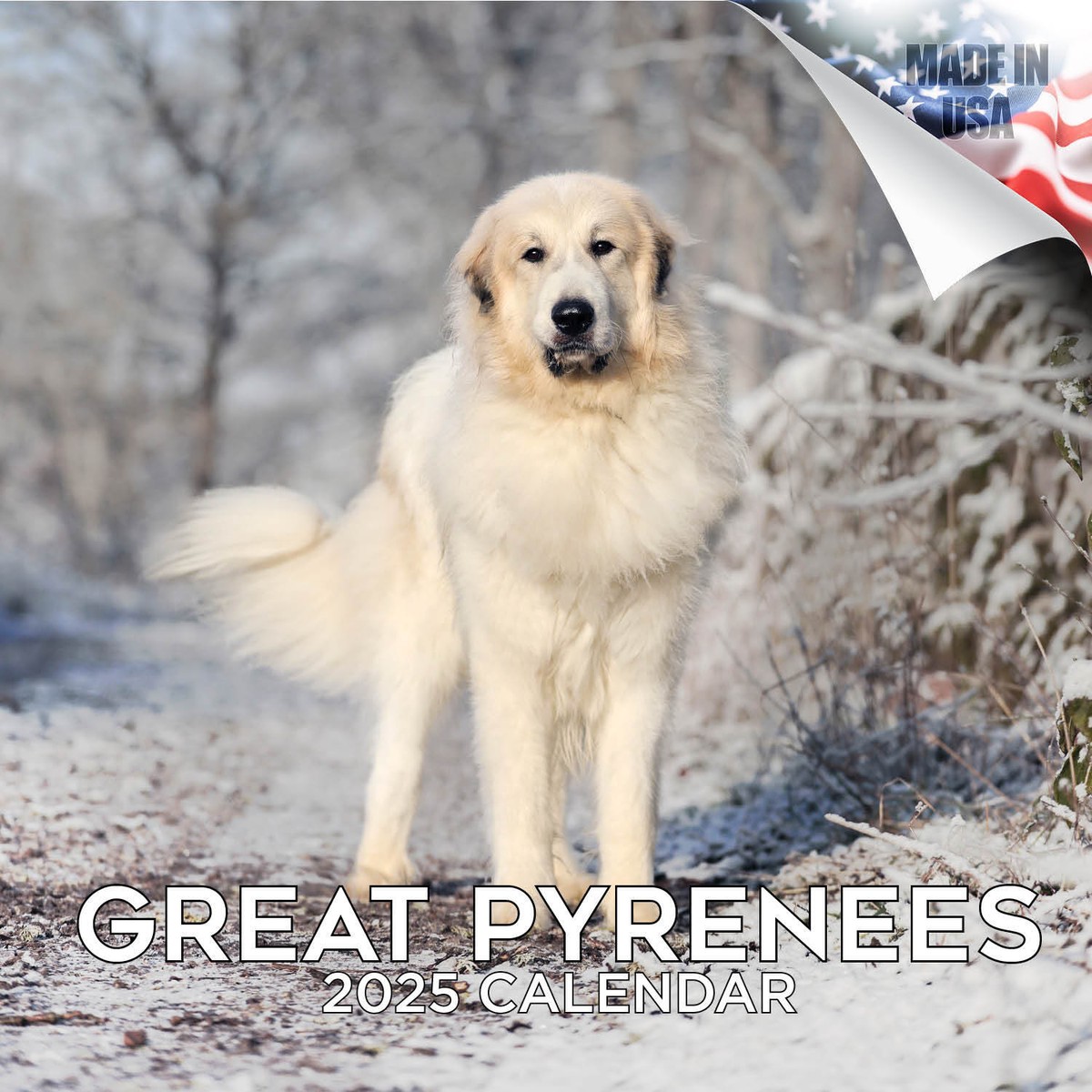 Great Pyrenees Memes Closeup Of Young White Great Pyrenees Dog Looking