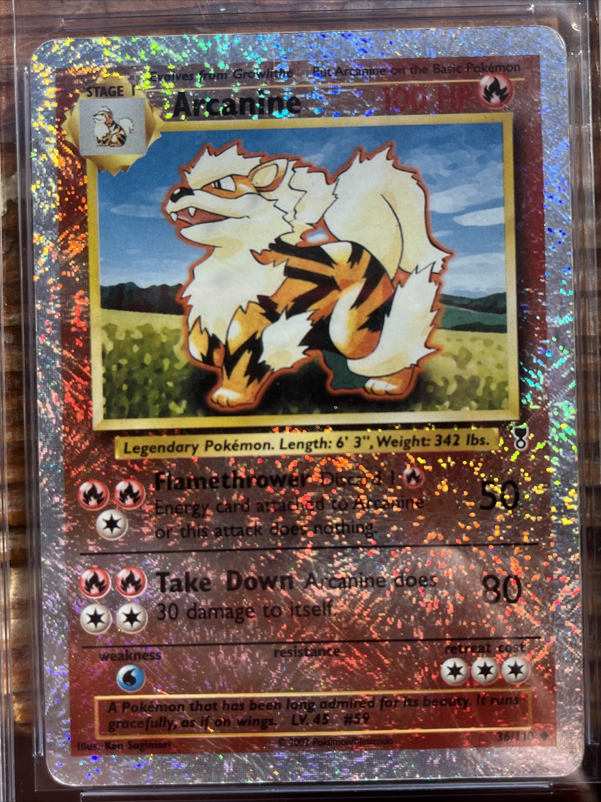 Legendary Pokemon Arcanine
