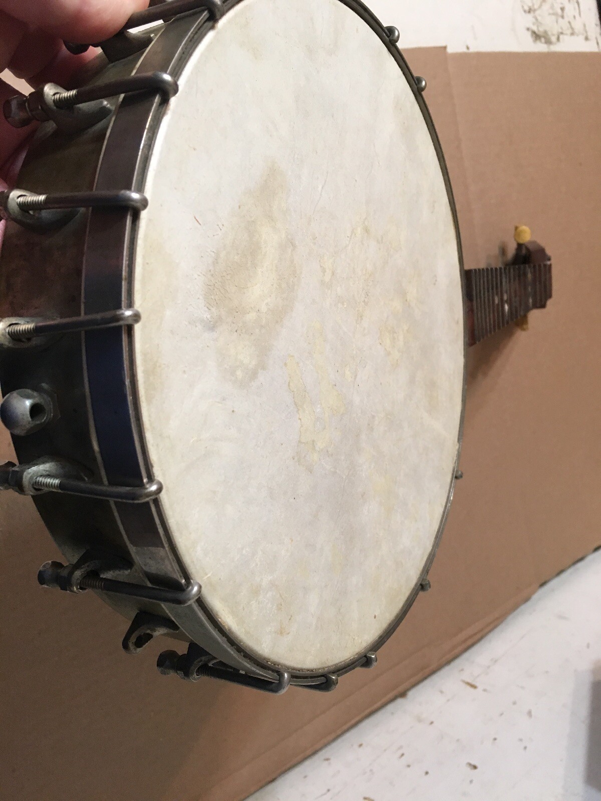 Rare Thompson & Odell Artist Banjo 8 String Banjolin Mandolin Parts ...