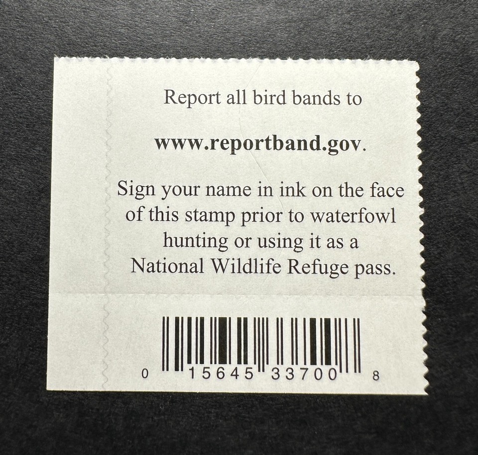 WTDstamps - #RW90 2023 - Federal Duck Stamp - Mint OG NH **Bottom Right ...