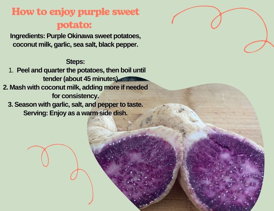 Fresh Hawaiian Purple Sweet Potatoes Ube Yam / Okinawan Sweet Potato ...