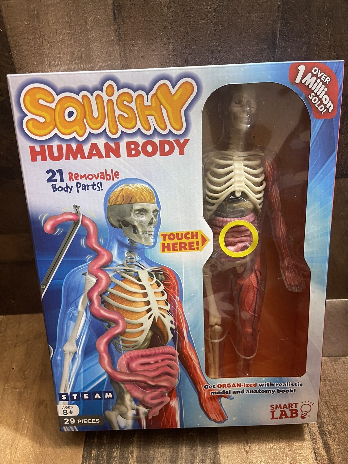 SmartLab Toys Squishy Human Body with 21 Removable Body Parts with ...