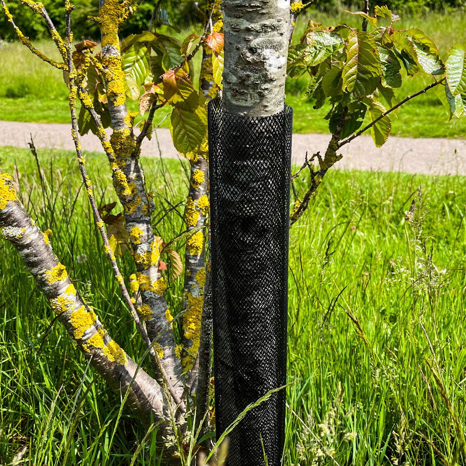 Woodside Mesh Tree & Sapling Guard Protectors Weatherproof Trunk Cover ...