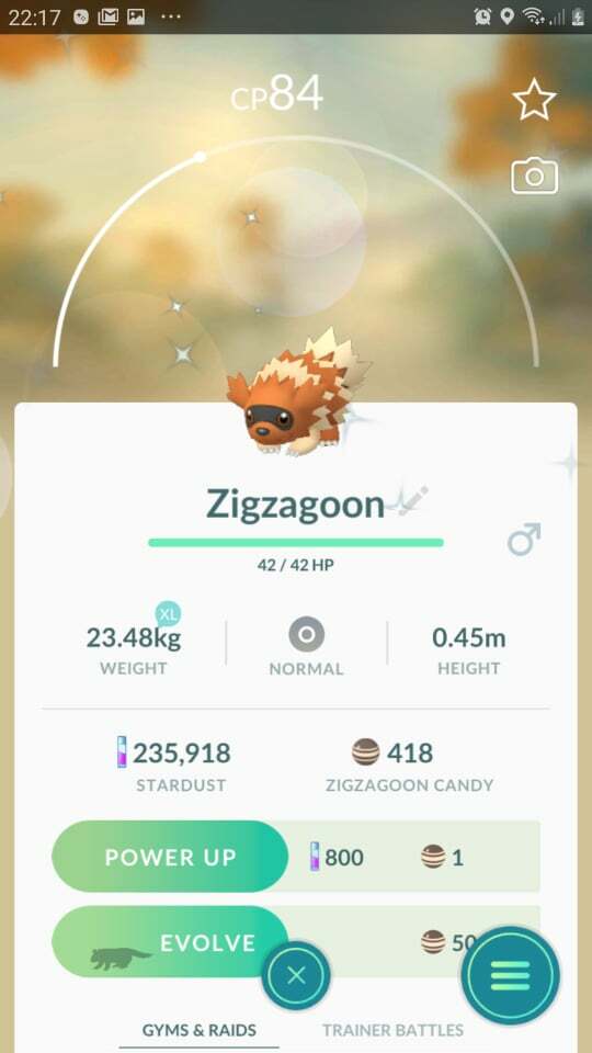 Pokemon Shiny Zigzagoon
